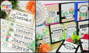 Easy DIY Cactus Classroom Theme Ideas | Differentiation Corner