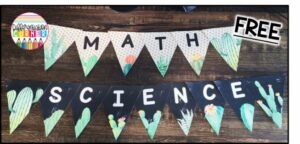 Easy DIY Cactus Classroom Theme Ideas | Differentiation Corner