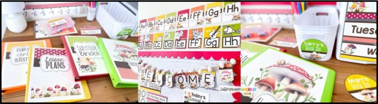 How To Choose The Best Classroom Theme | Differentiation Corner